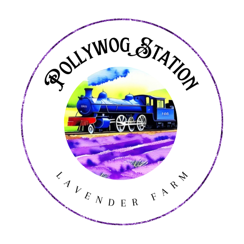 Home | Pollywog Station Lavender Farm